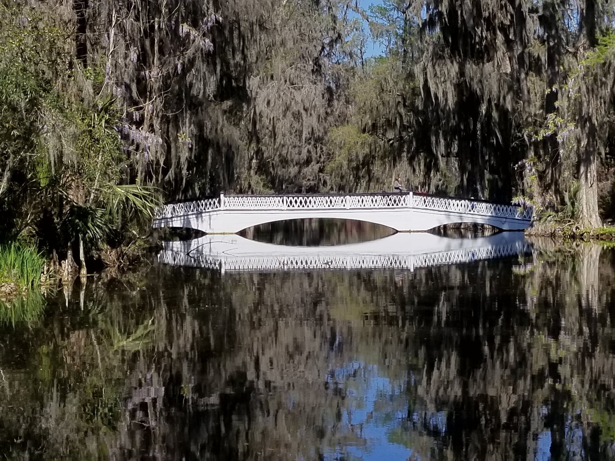 11 Best Historic Sites in Charleston South Carolina - The Traveling Drifter