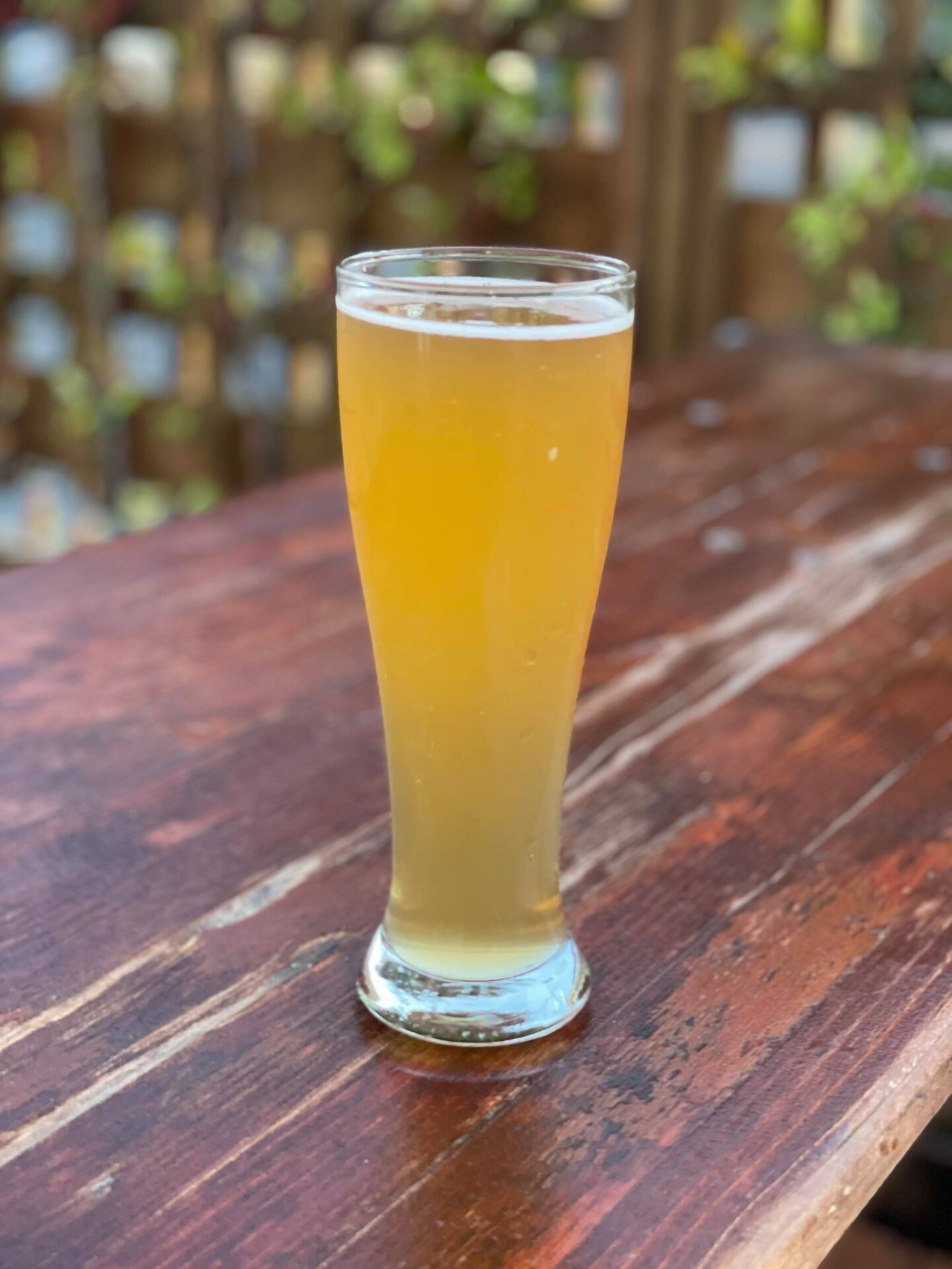 Charleston Local Beer and Establishments - The Traveling Drifter